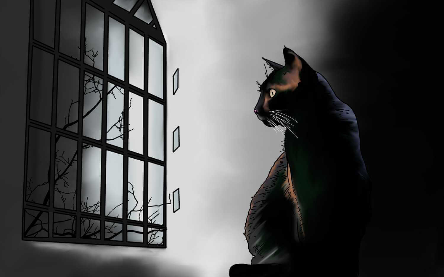 Coraline Summary by Neil Gaiman | Book Analysis